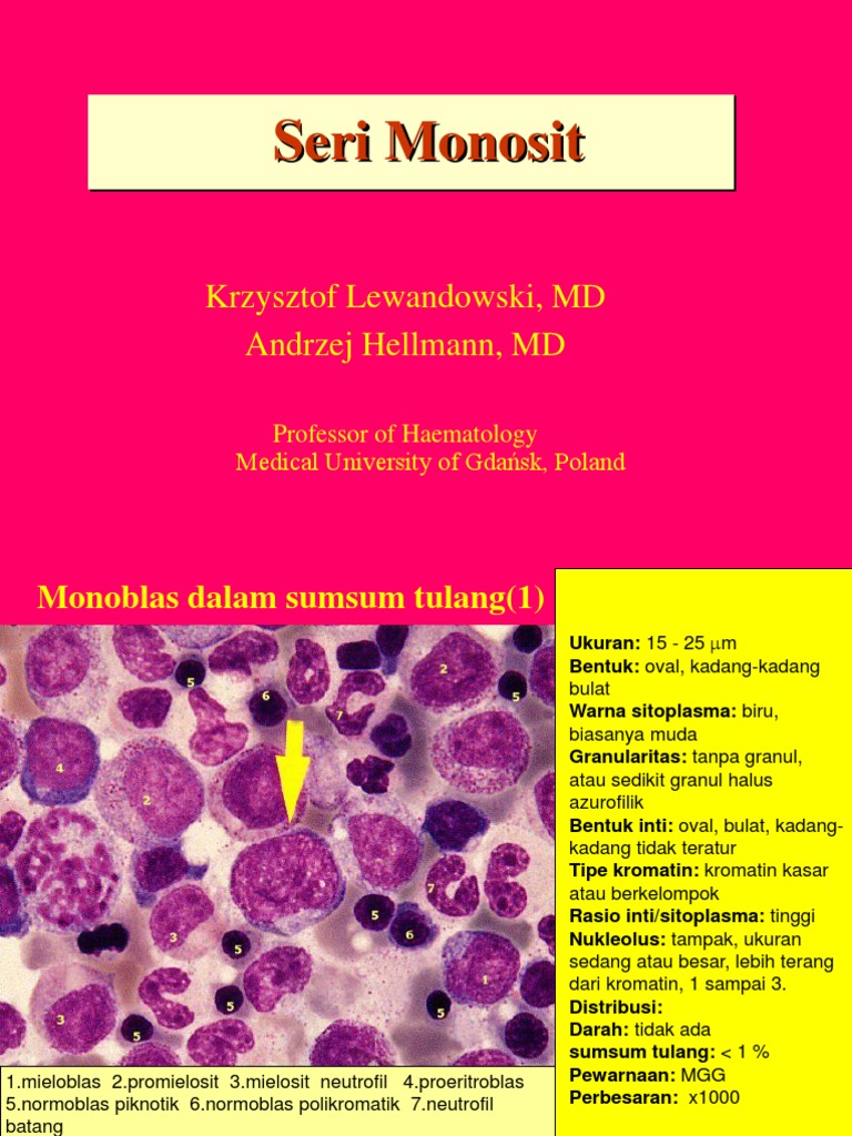 Monosit | PDF