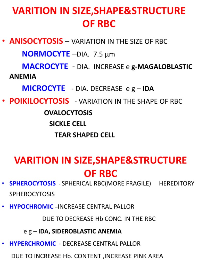 RBC Indices | PDF | Anemia | Red Blood Cell