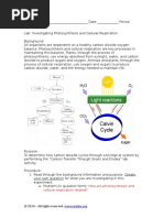 Calvin Cycle Worksheet | PDF | Biology | Biochemistry