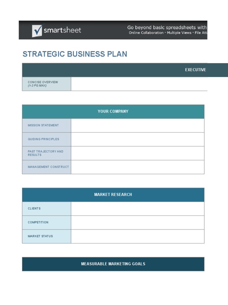 Strategic Business Plan: Executive Summary | PDF