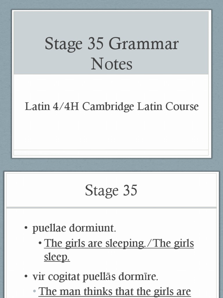 Latin Grammar Notes | PDF | Grammar | Grammatical Conjugation