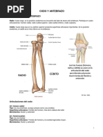 9 Músculos Del Brazo y Codo | PDF | Codo | Sistema musculoesquelético