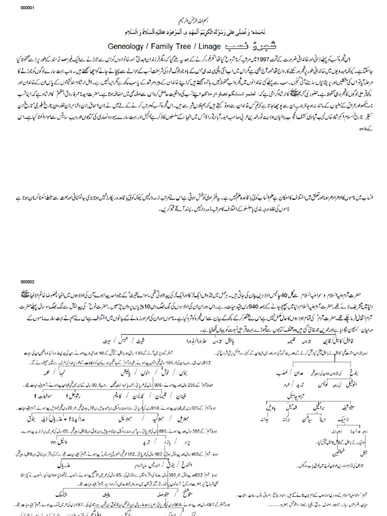 Urdu Shajra | PDF
