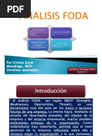 Matriz FODA (Maxi-Mini) | PDF