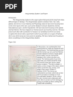 Guide To Writing A Practical Biochemistry Report | PDF | Experiment | Data