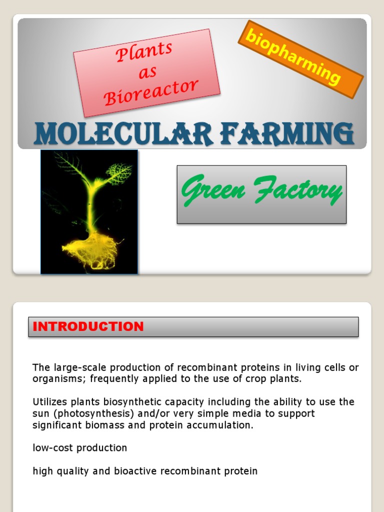 Molecular farming: Low-cost production of high-quality recombinant ...