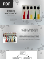 Pruebas Bioquimicas para Enterobacterias | PDF | Química | Las bacterias