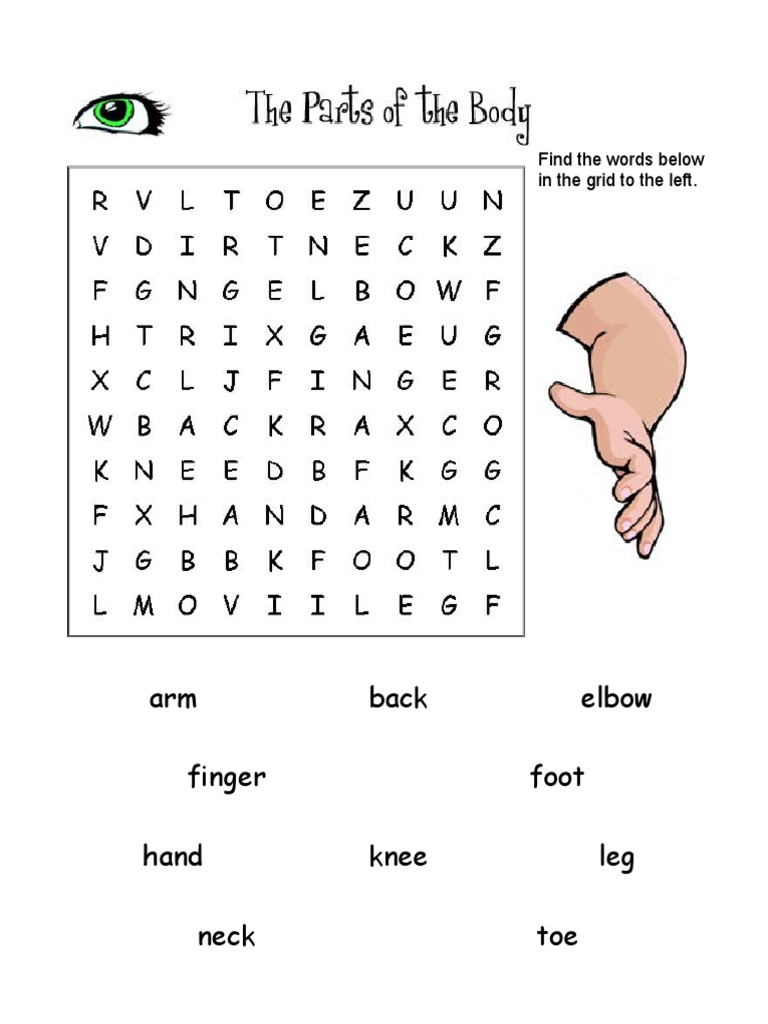Body Wordsearcheasy | PDF | Games & Activities