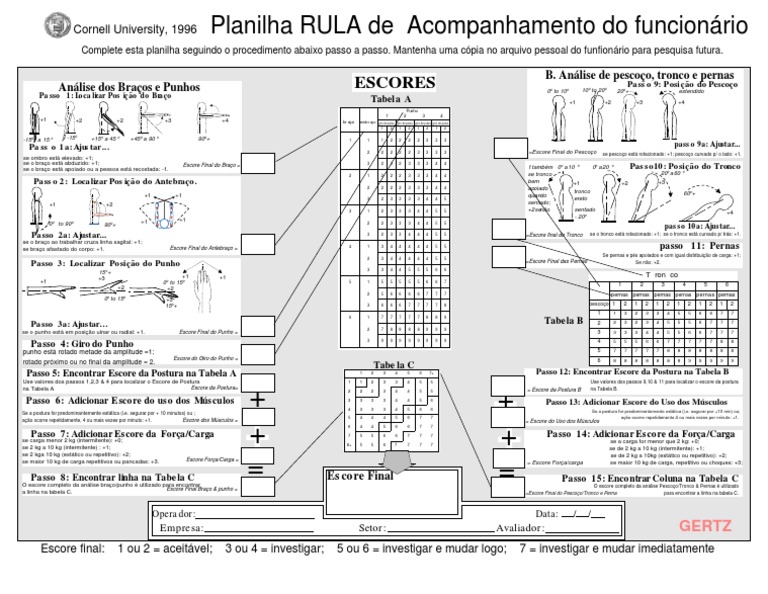 Planilha RULA de Acompanhamento do funcionário para análise postural e ...