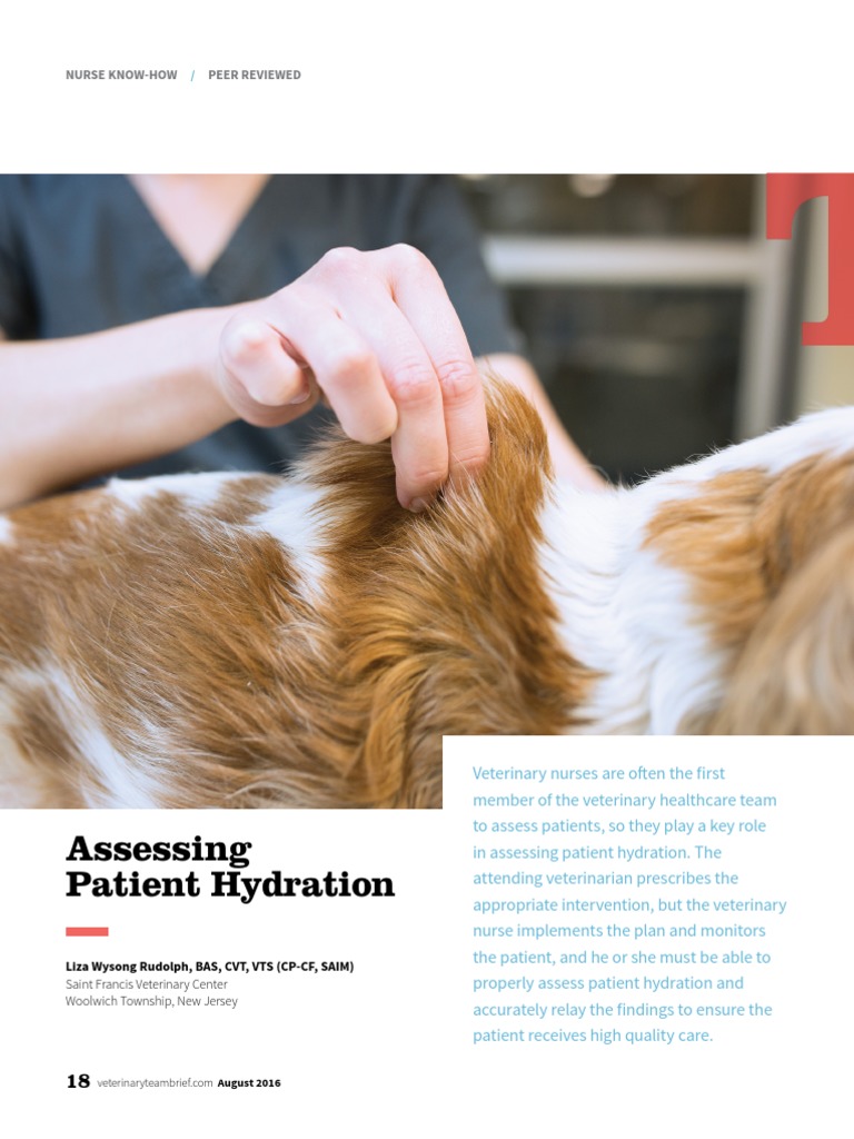 Assessing Patient Hydration | PDF | Dehydration | Clinical Medicine