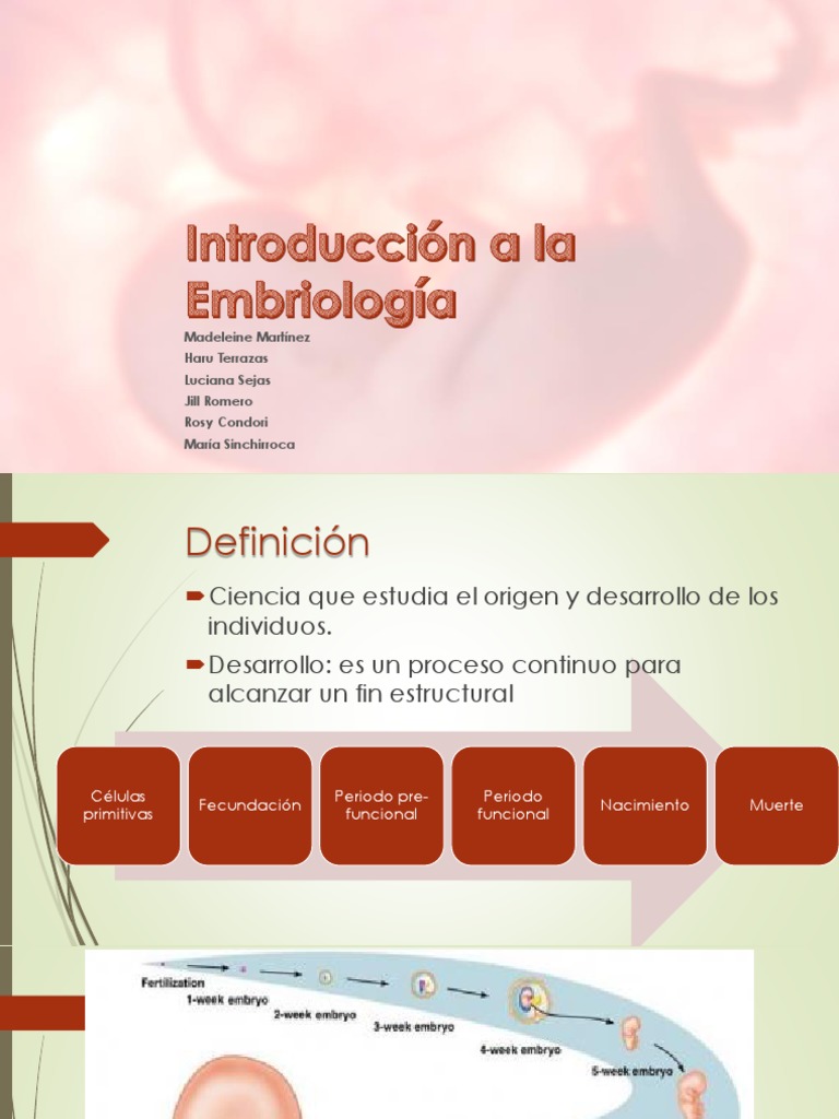Introducción a La Embriología | Sexo | Organismos