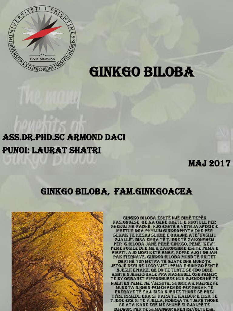 Ginkgo Biloba | PDF