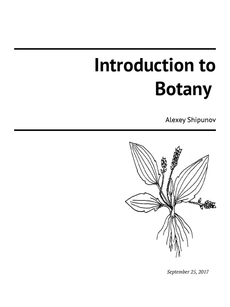 Intro Botany | PDF | Plant Stem | Properties Of Water