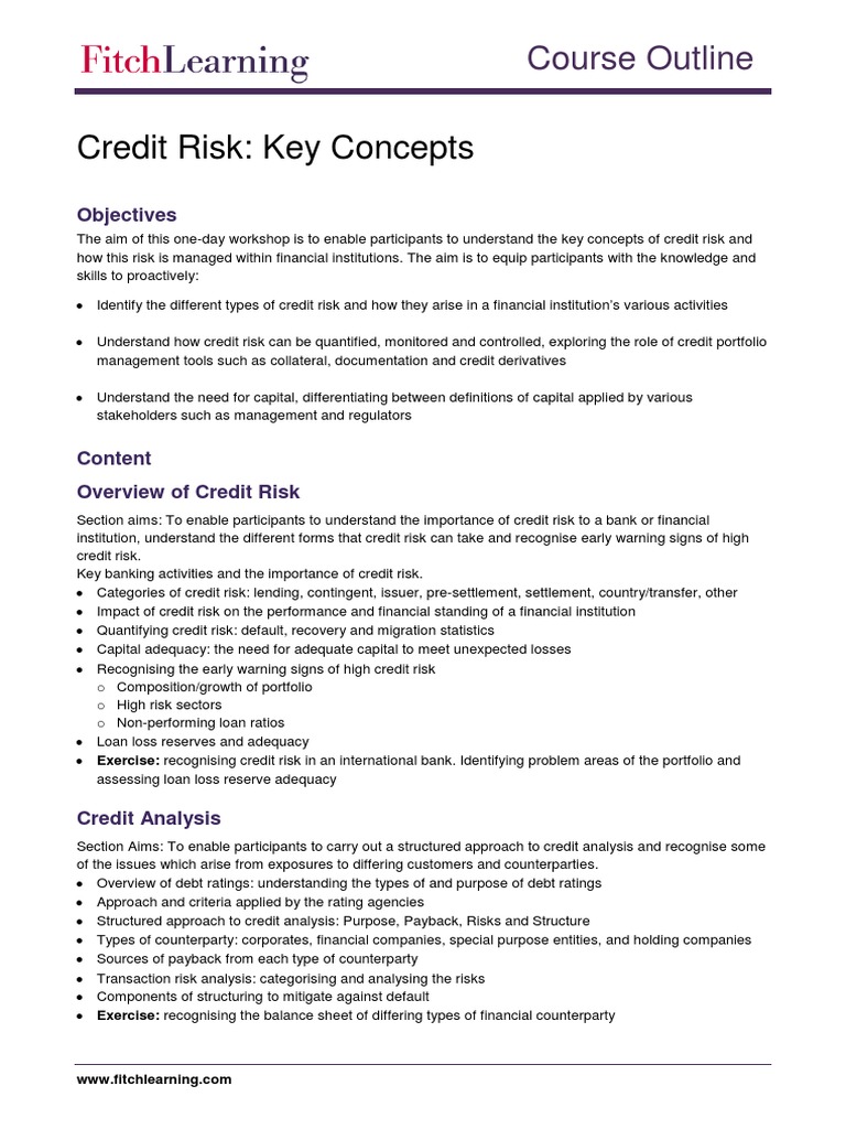 Credit Risk Key Concepts | PDF | Credit Risk | Credit (Finance)