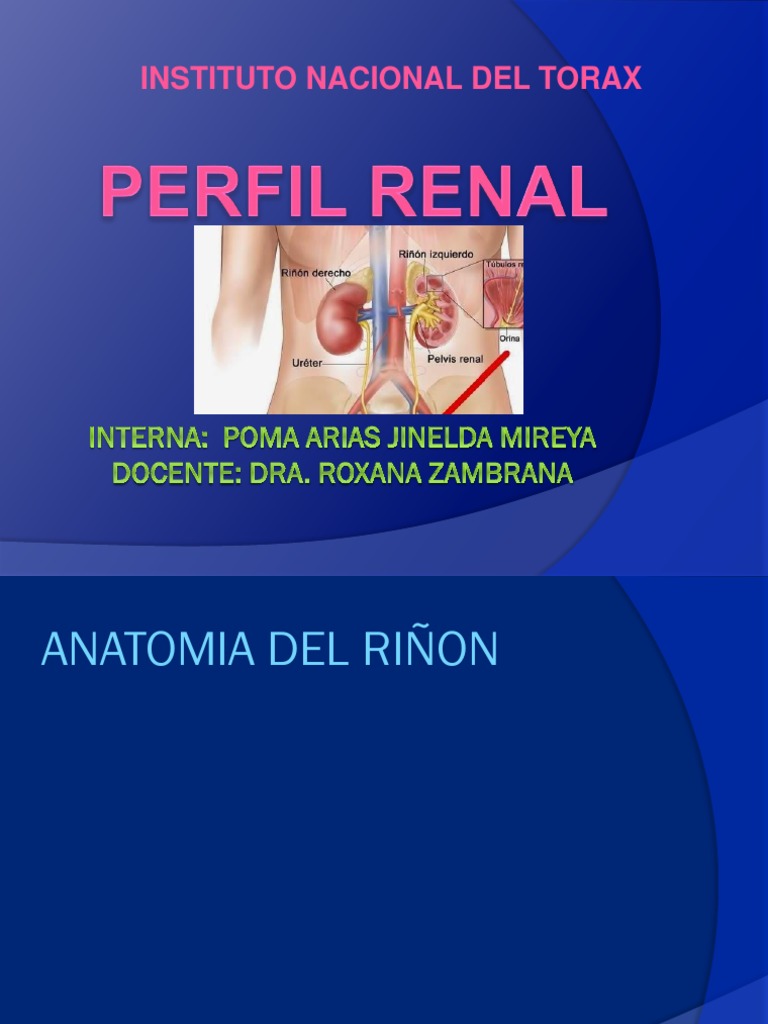 Perfil Renal | PDF | Orina | Creatinina