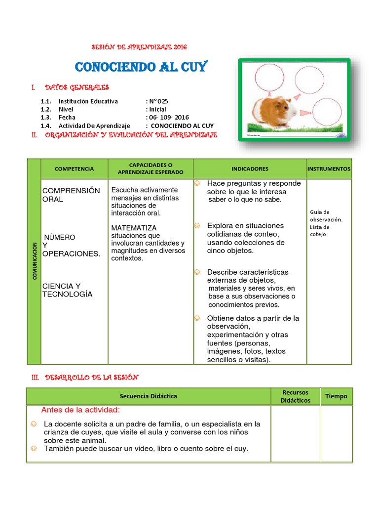 Sesion El Cuy | Descargar gratis PDF | Aprendizaje | Maestros