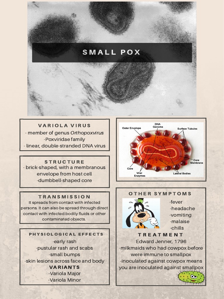 Smallpox: Structure and Symptoms | PDF