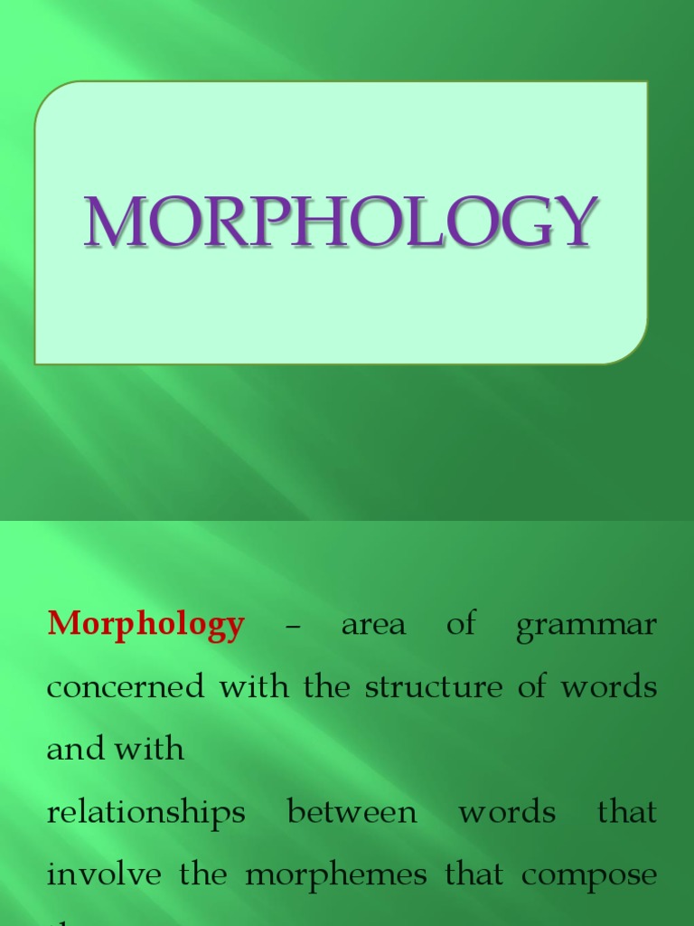Morphology - Presentation | PDF | Morphology (Linguistics) | Word