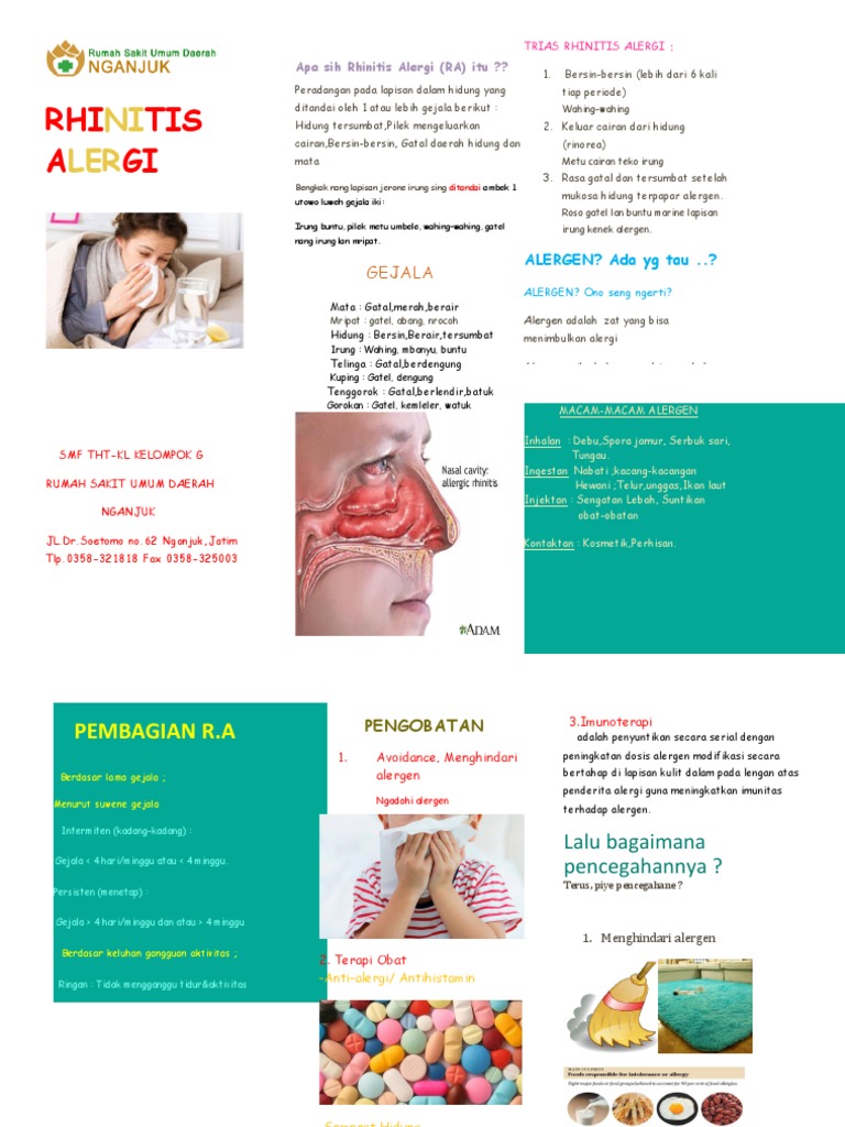 Leaflet Rhinitis Alergi | PDF