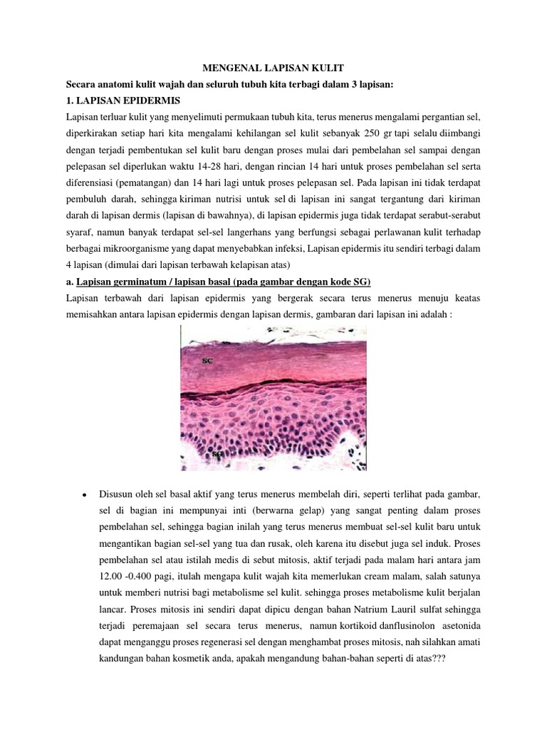 Anatomi Kulit Wajah 123 | PDF