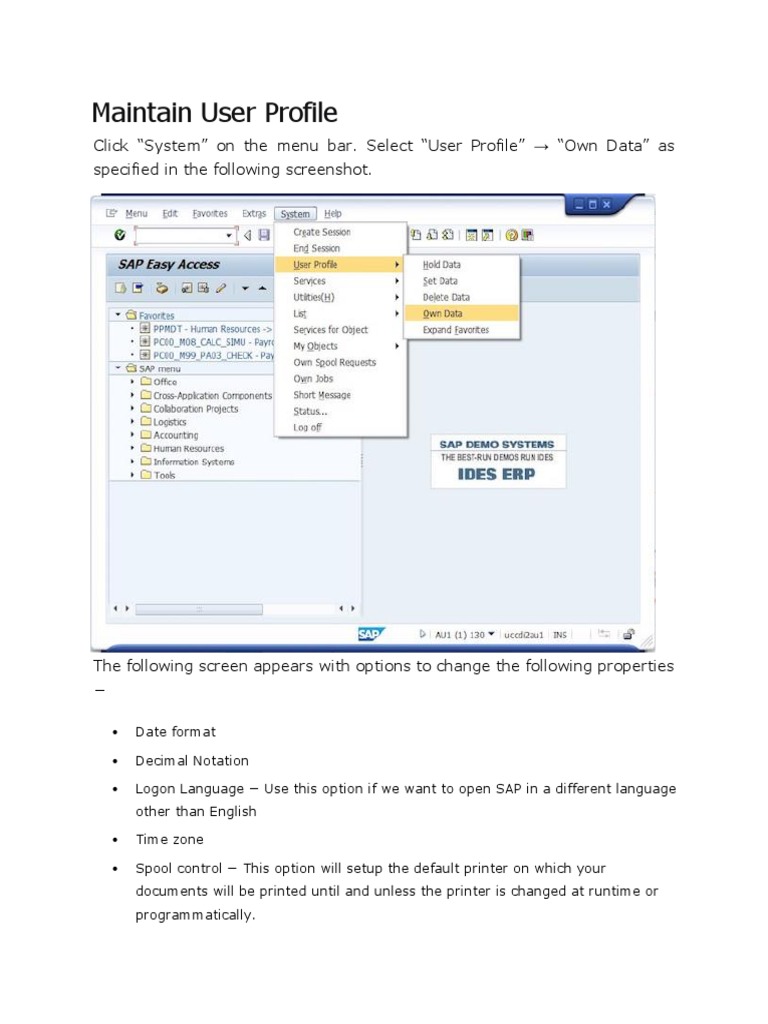 Sap Gui | PDF