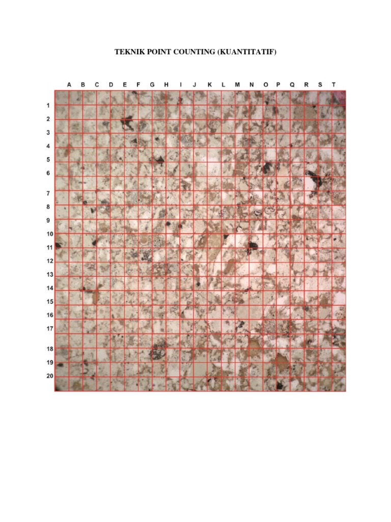 Teknik Point Counting (Kuantitatif) | PDF