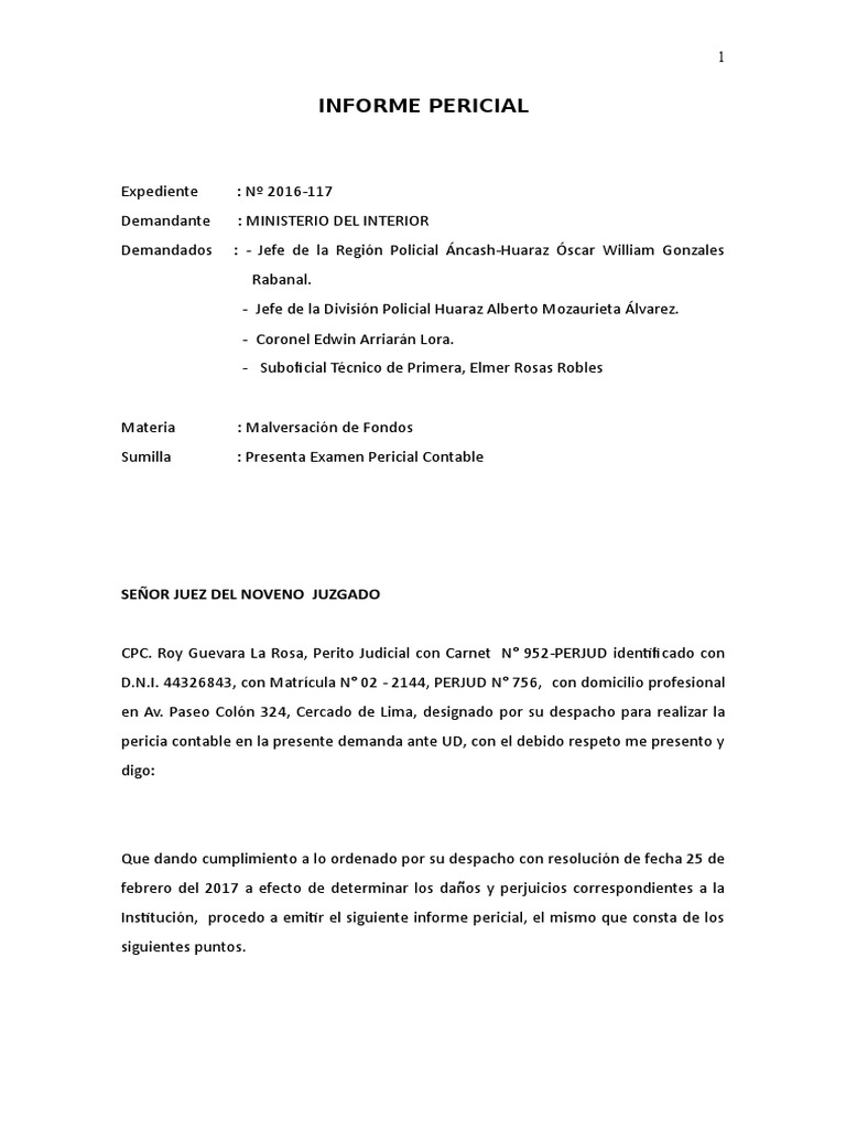 Informe Pericial | Logística | Perú