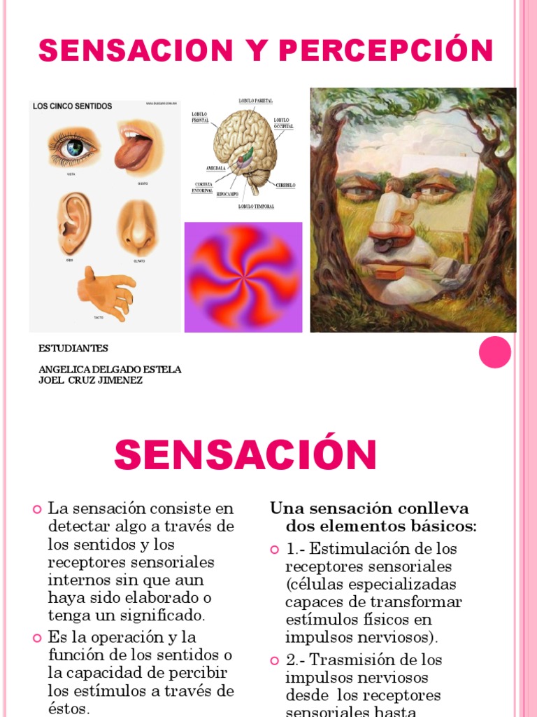 SENSACION Y PERCEPCIÓN DIAPOSITIVAS.pptx | Percepción | Cognición