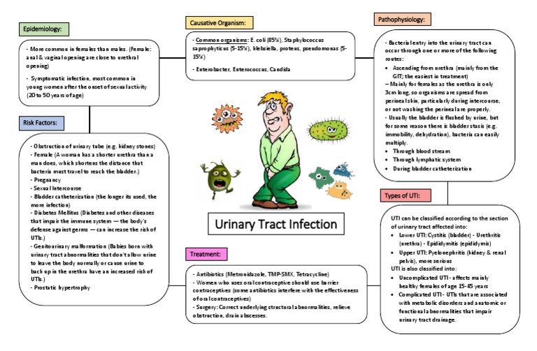 UTI - Concept Map | PDF | Urinary Tract Infection | Microbiology
