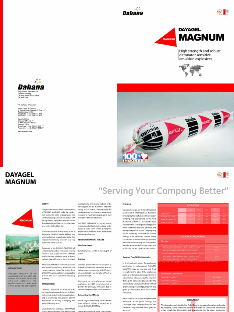 Dayagel Magnum PDF | PDF