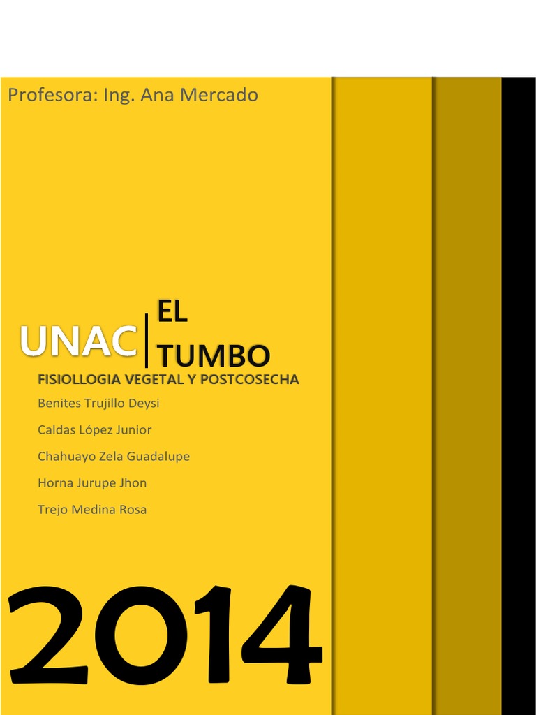 Tumbo - Fisiología | PDF | Esterilización (Microbiología) | Tallo de la ...