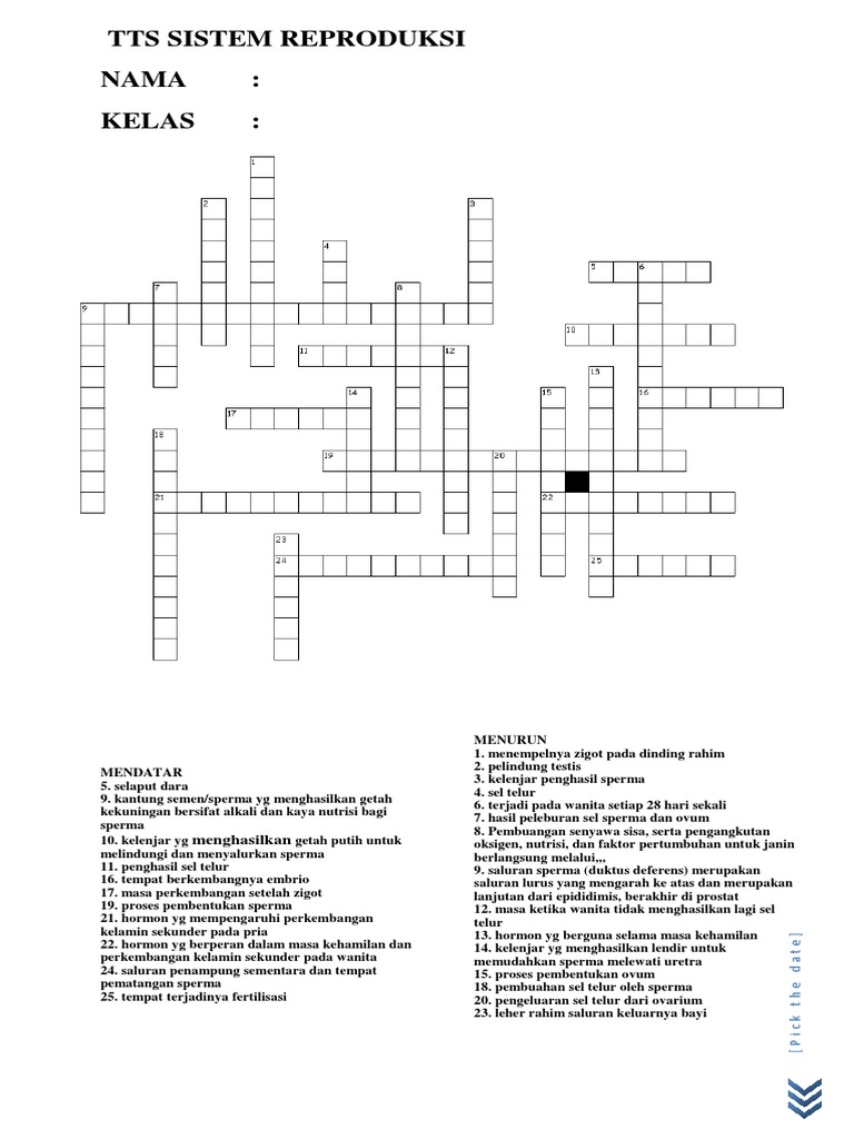 Tts Sistem Reproduksi | PDF