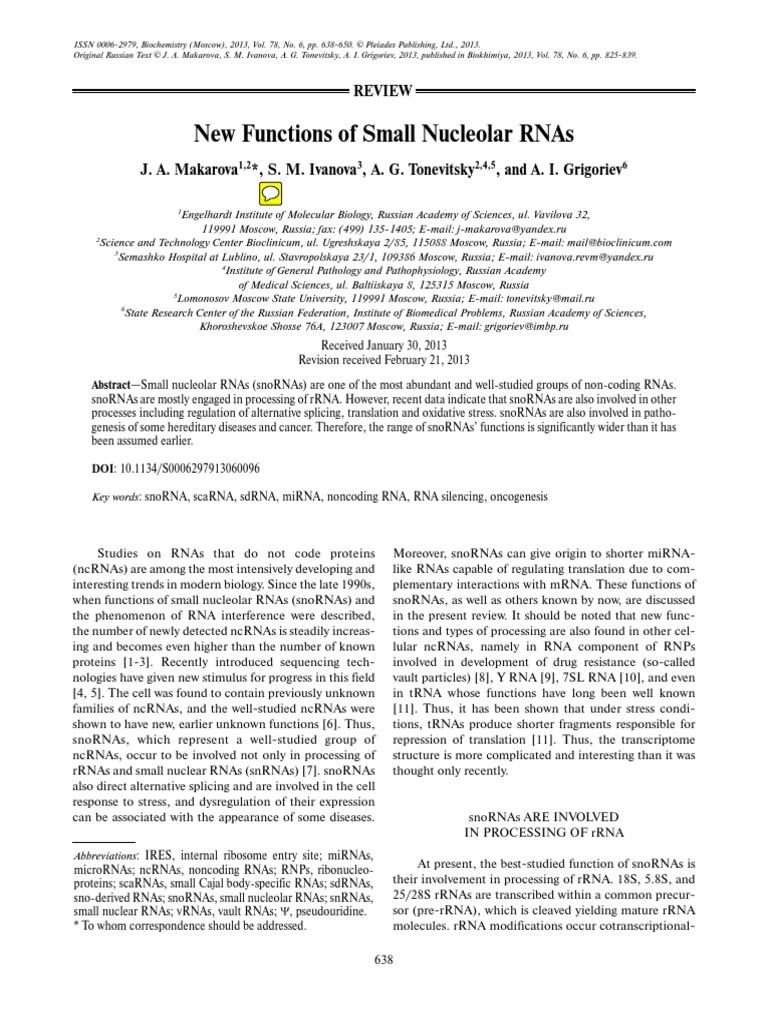 New Functions of Small Nucleolar RNAs | PDF | Rna | Micro Rna