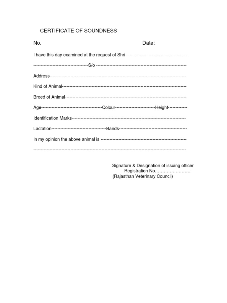 9112007125504PM Certificate - of - Soundness PDF | PDF