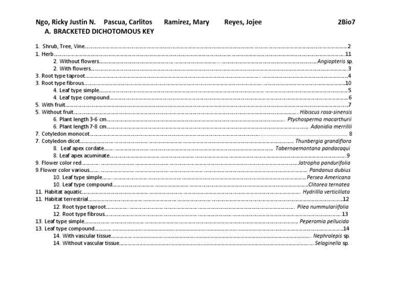 Botany Exercise 2 Bracketed Dichotomous Key PDF | PDF | Plants | Botany