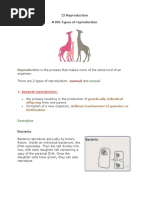 16 Reproduction Notes Igcse Biology | PDF | Menstrual Cycle | Birth Control