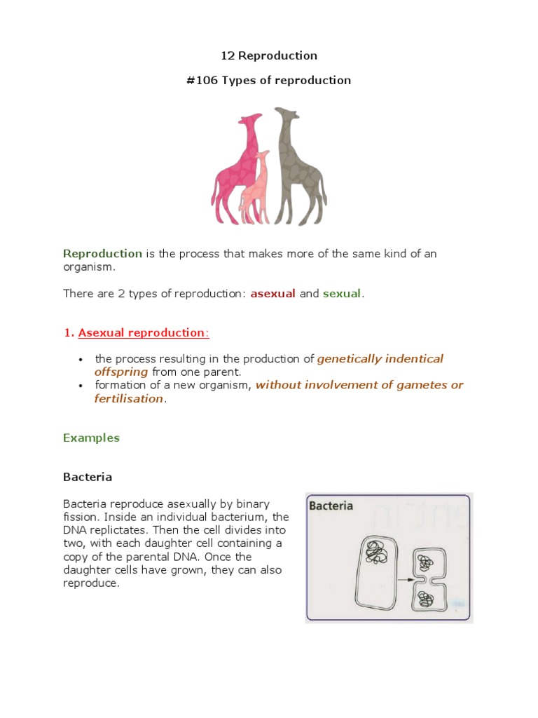 Reproduction In Organisms Gcse Biology Revision Notes Communities