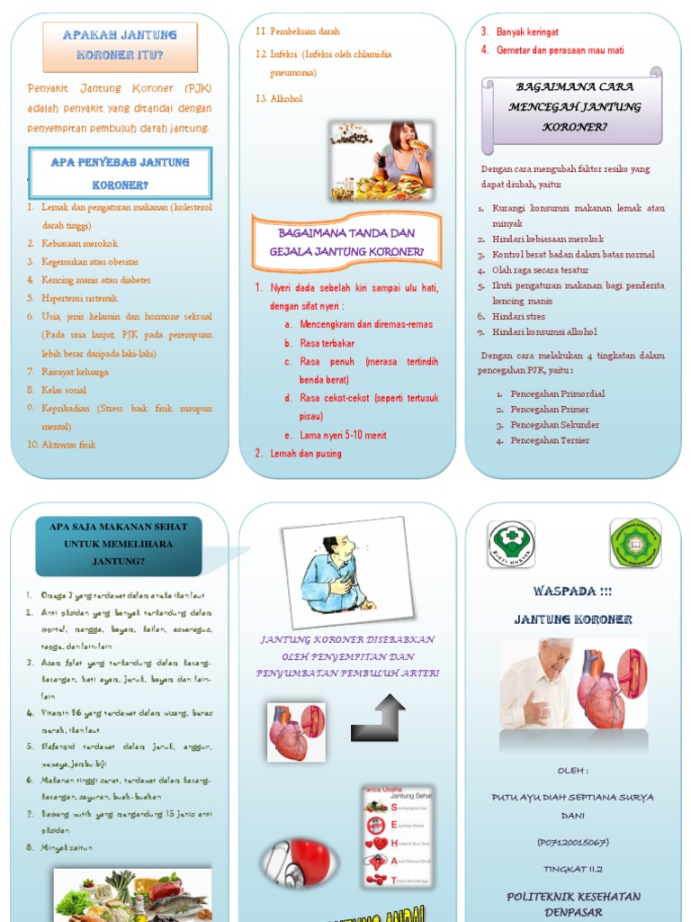 Leaflet Sap PJK | PDF