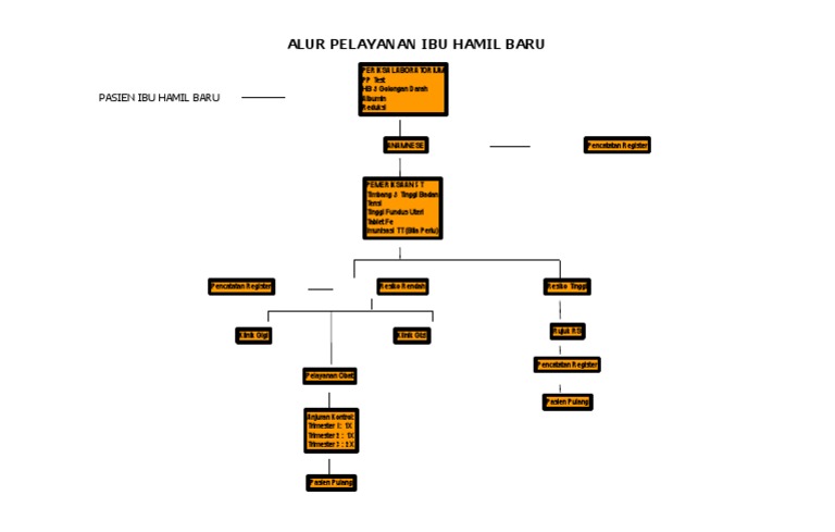 Alur Pelayanan Ibu Hamil Baru | PDF