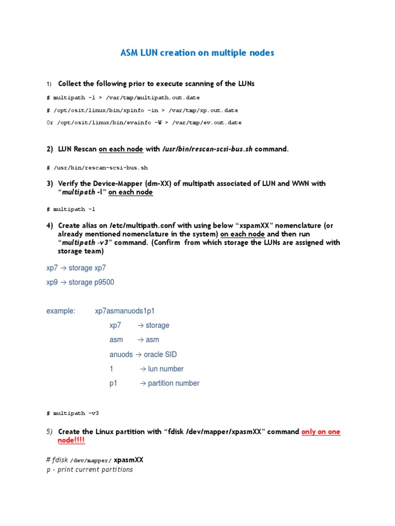 ASM LUN Creation On Multiple Nodes | Download Free PDF | Utility ...