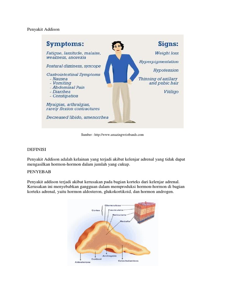 Penyakit Addison | PDF