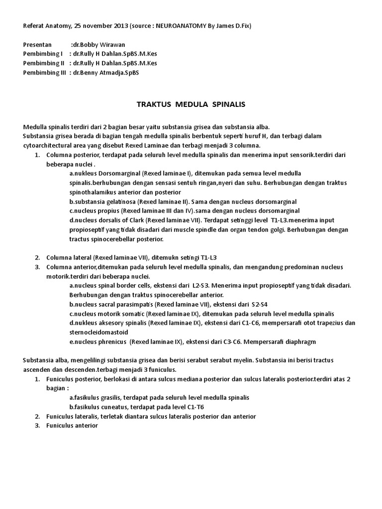 Traktus Medula Spinalis | PDF | Filsafat