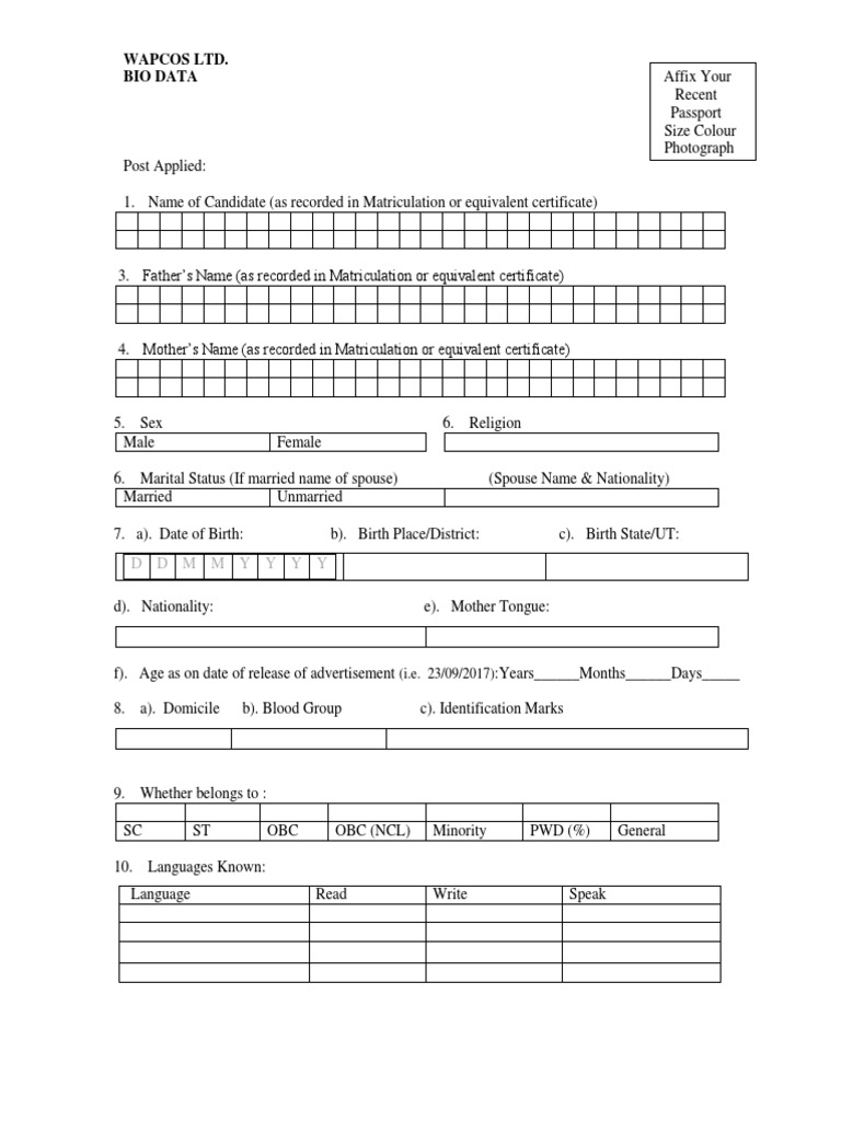 WAPCOS LTD. Job Application Form | PDF | Identity Document | Government ...