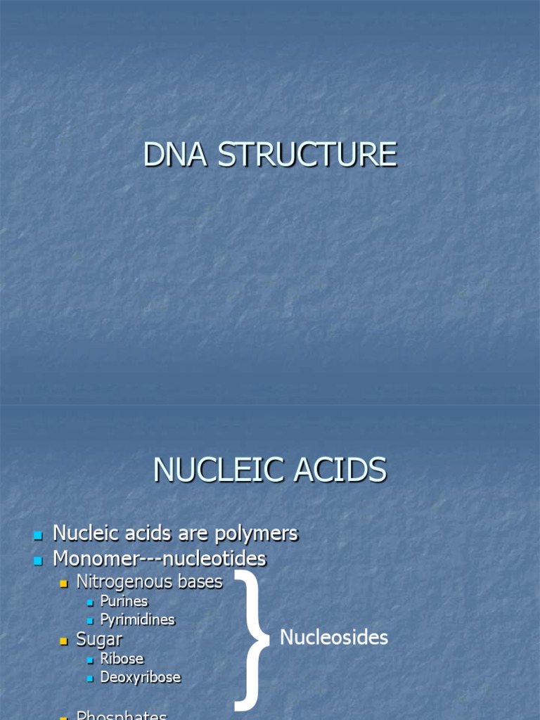 DNA STRUCTURE Lecture | PDF | Nucleotides | Dna Replication