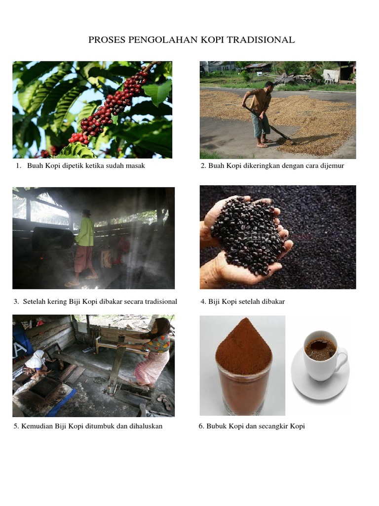 Proses Pengolahan Kopi Tradisional | PDF