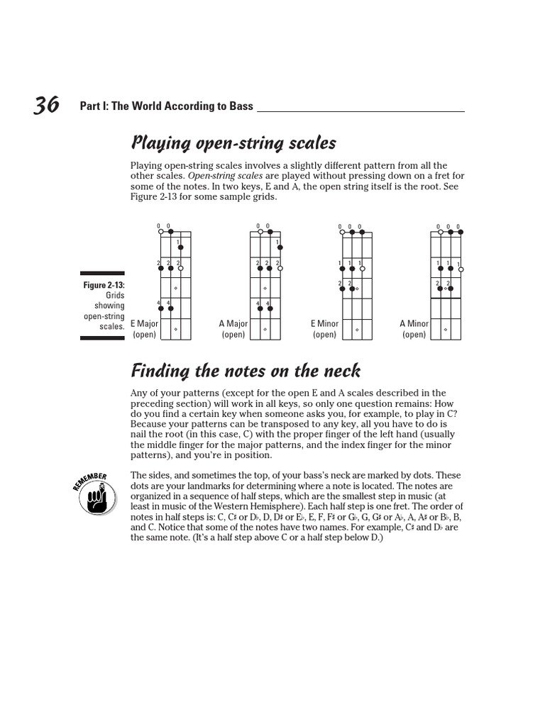 Open String Scales - Bass | PDF