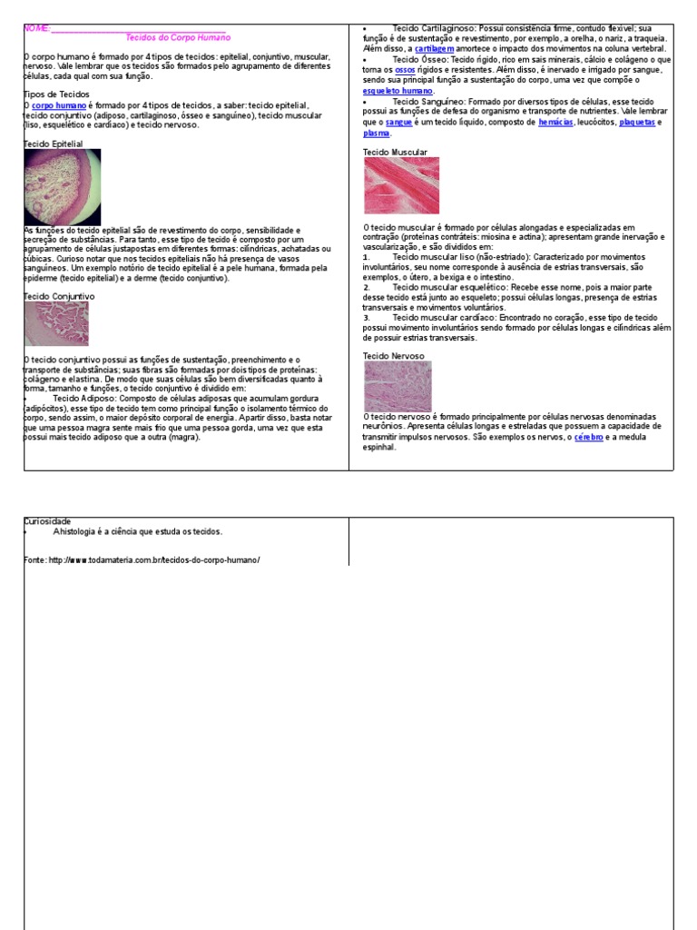 Tecidos Do Corpo Humano e Células | PDF | Epitélio | Sangue