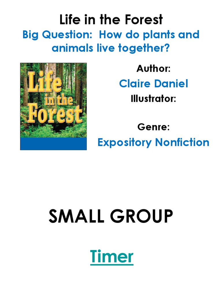 Life in The Forest | PDF | Leisure | Nature