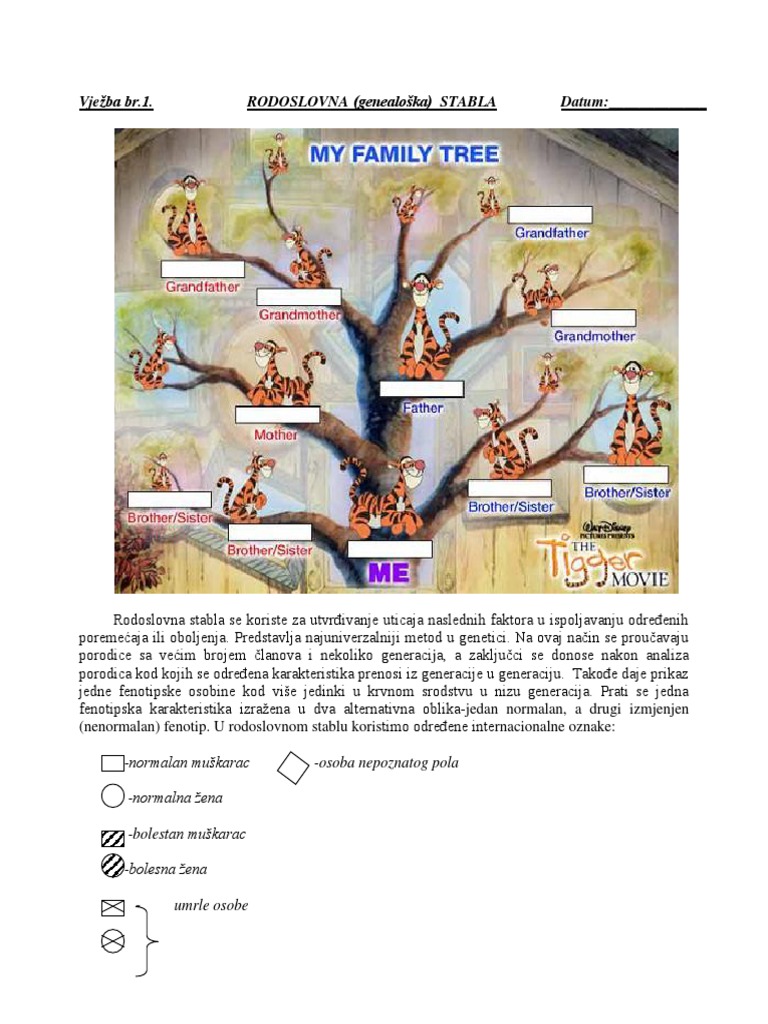 Rodoslovno Stablo | PDF