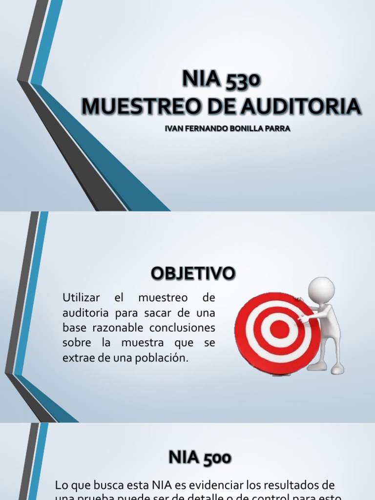 Nia 530 | PDF | Muestreo (Estadísticas) | Science